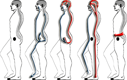 Higher Function of the Eight Miraculous Vessels: Bridge of No Time and ...
